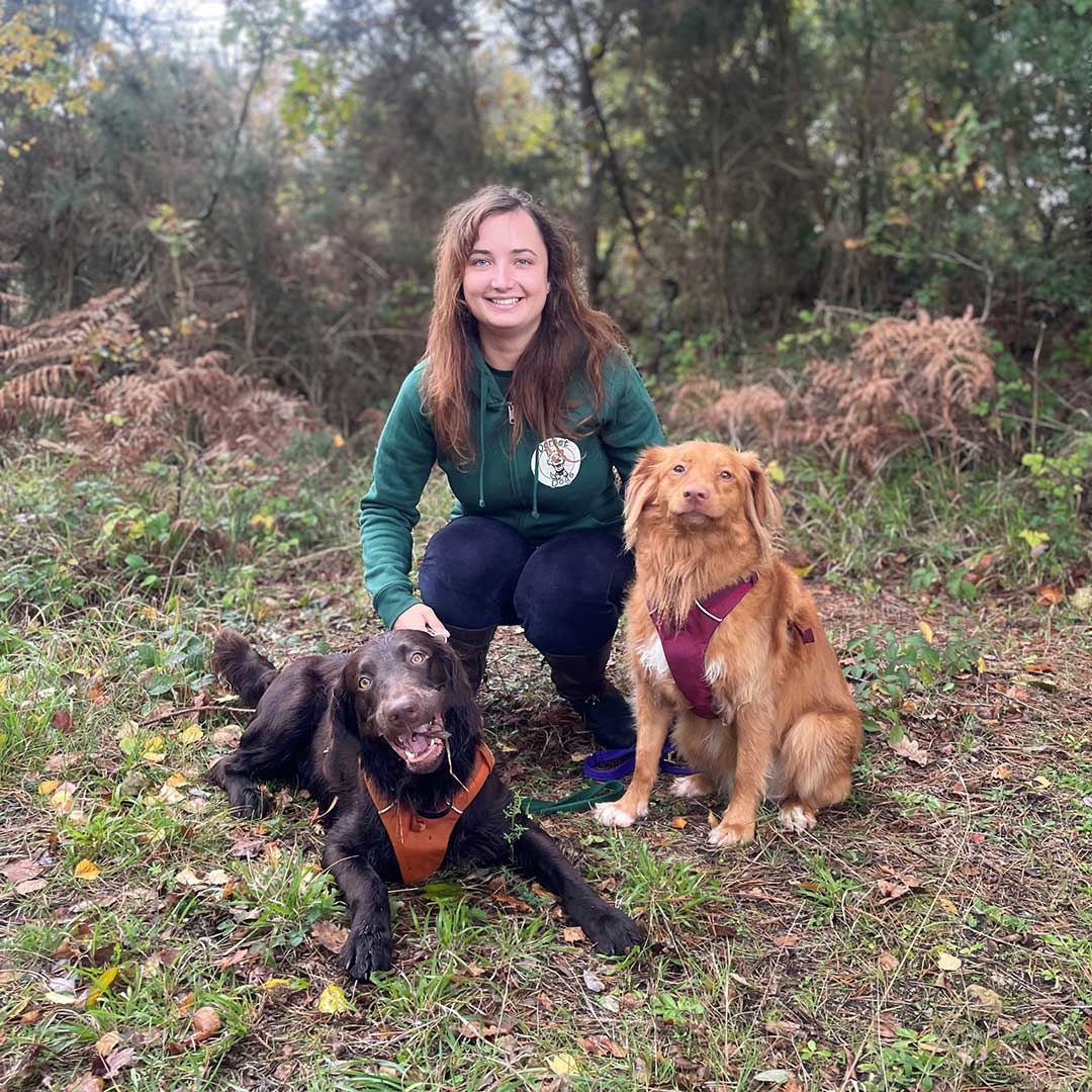 Dorset Dogs Team - Dorset Dogs